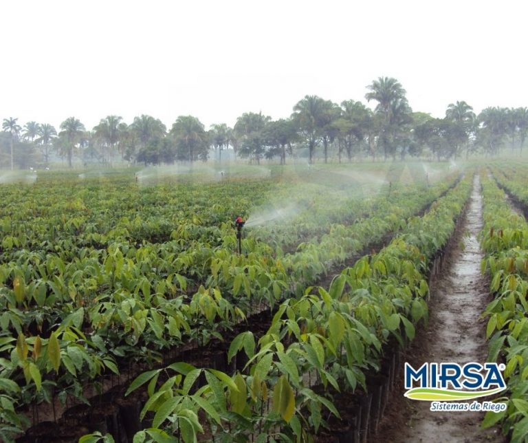 Sistema de riego por Aspersión Móvil - Mirsa